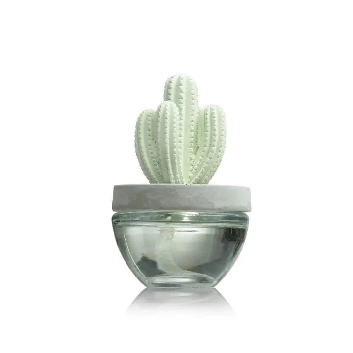 Saguaro Cactus Ceramic Diffuser Gift Set, Cactus Cutting Grass | Little ...