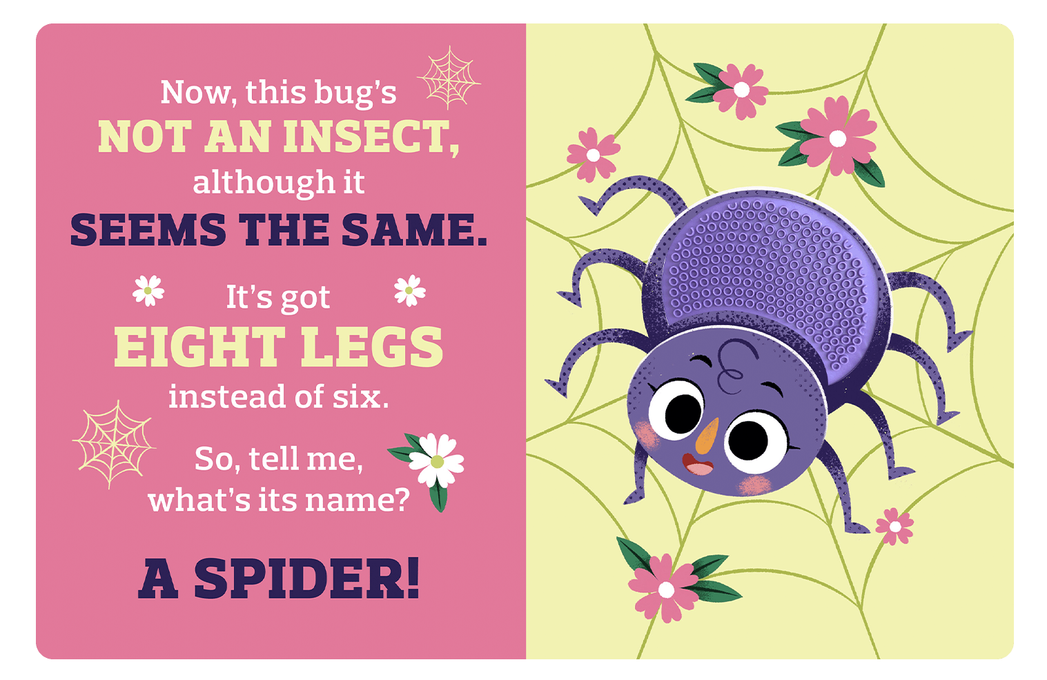 Backyard Bugs - Touch & Feel Sensory Board Book | Little Miss Muffin ...