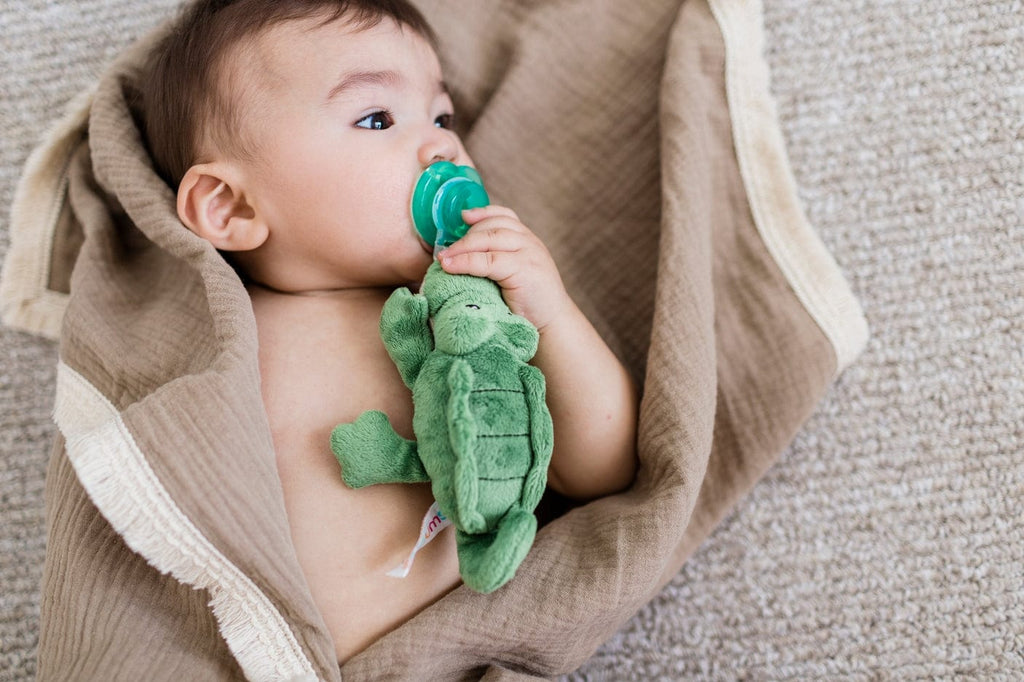 Nookums Paci-Plushies Buddies - Alli Alligator – Little Miss Muffin ...
