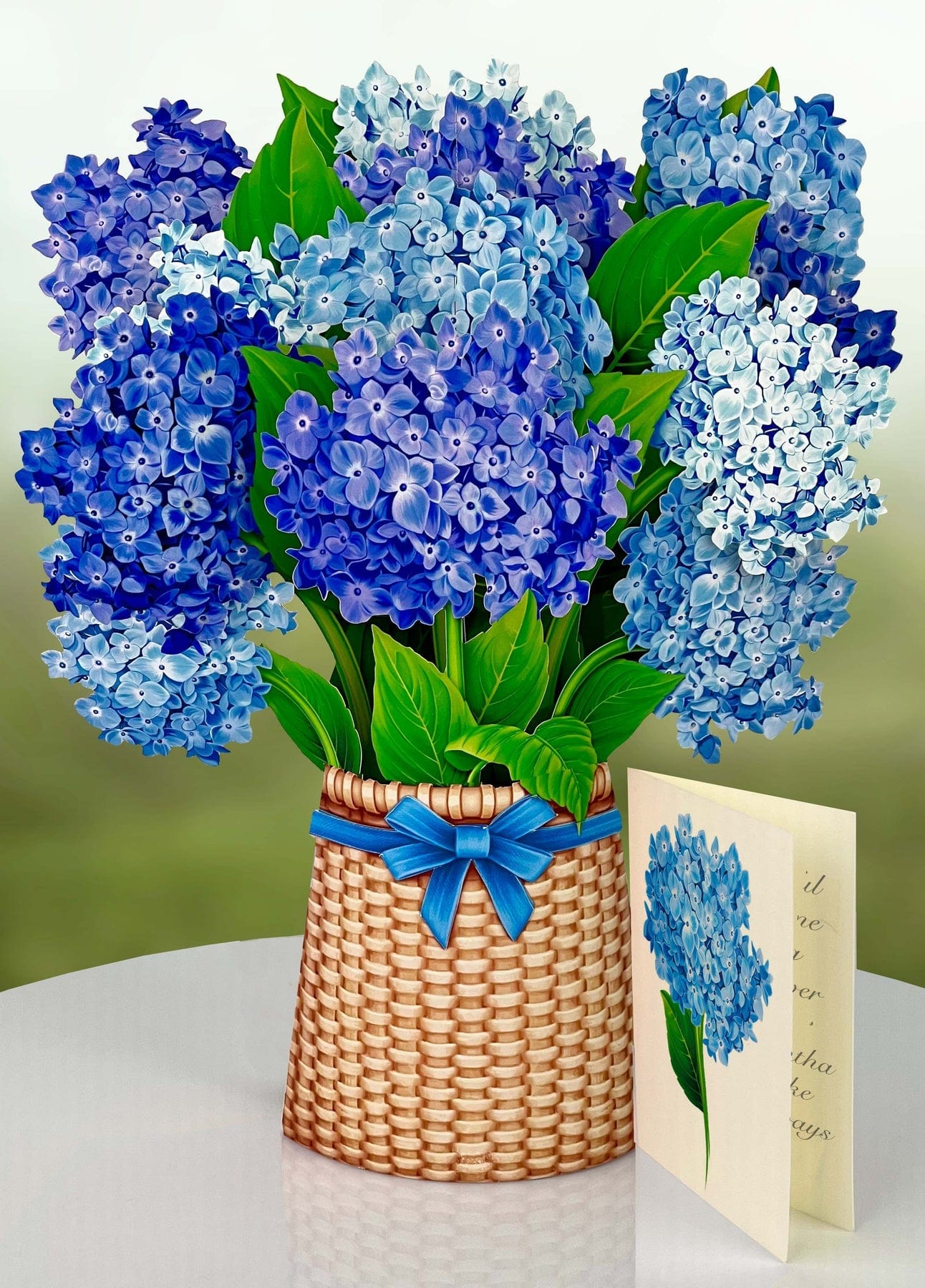FreshCut Paper Nantucket Hydrangea